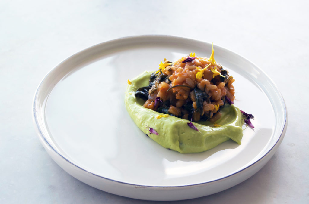 WHAT IS MALLOW, HOW TO EAT? – Gurme Vegan